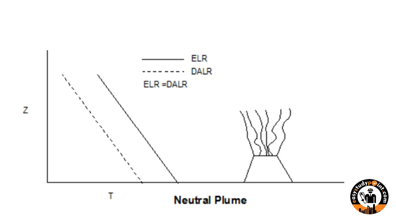 Types of Plumes and Their Behavior in Different Environmental Conditions