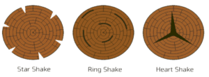 Defects in Timber
